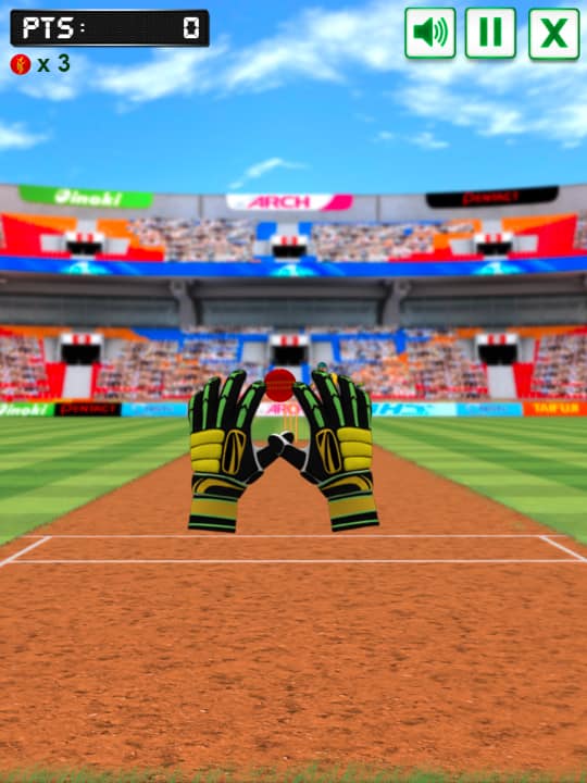 Cricket Fielder Challenge Game - Juego Online Gratis | MisJuegos