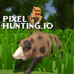 Pixel Hunting.IO - Juego Online Gratis | MisJuegos